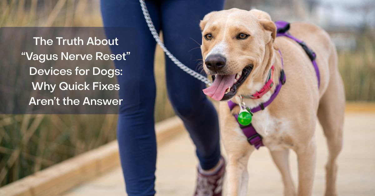 The Truth About At Home “Vagus Nerve Reset” Devices for Dogs: Why Quic ...