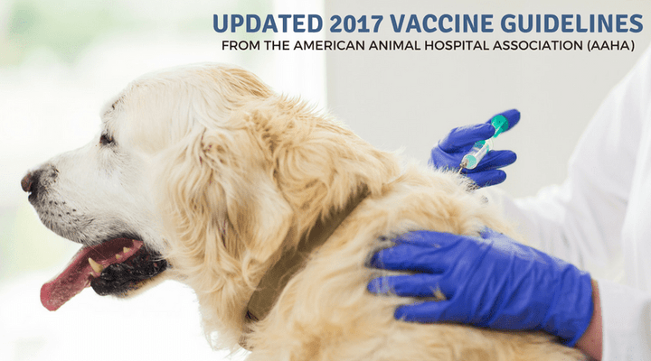 Highlights From The Updated 2017 Canine Vaccination Guidelines – 4-Legger