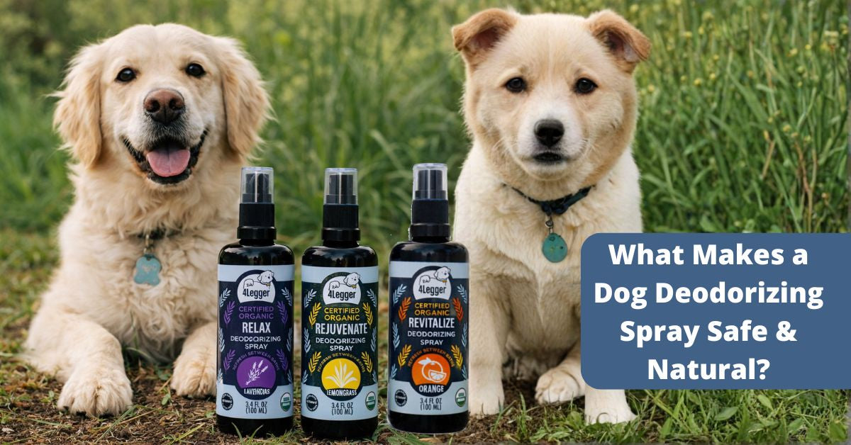 What Makes a Dog Deodorizing Spray Truly Safe & Natural? – 4-Legger