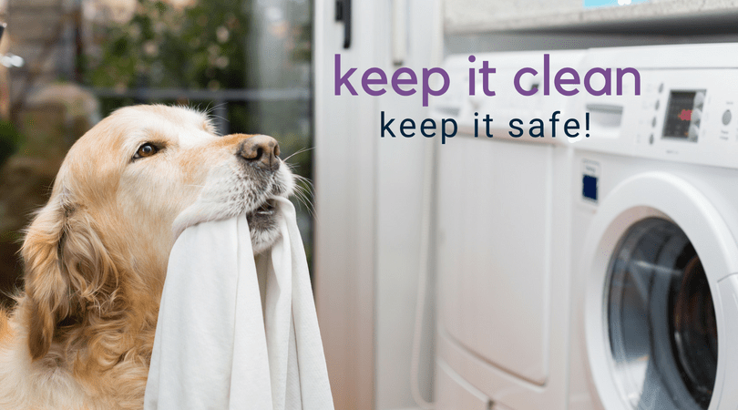 Keep It Clean & Keep It Safe! – 4-Legger