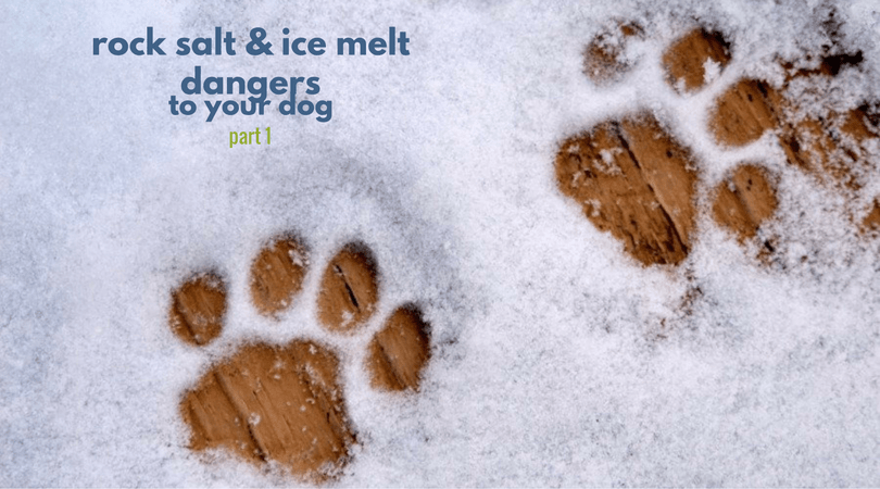 The Dangers Of Rock Salt and Ice Melt to Your Dog Part 1 | Holistic Dog ...