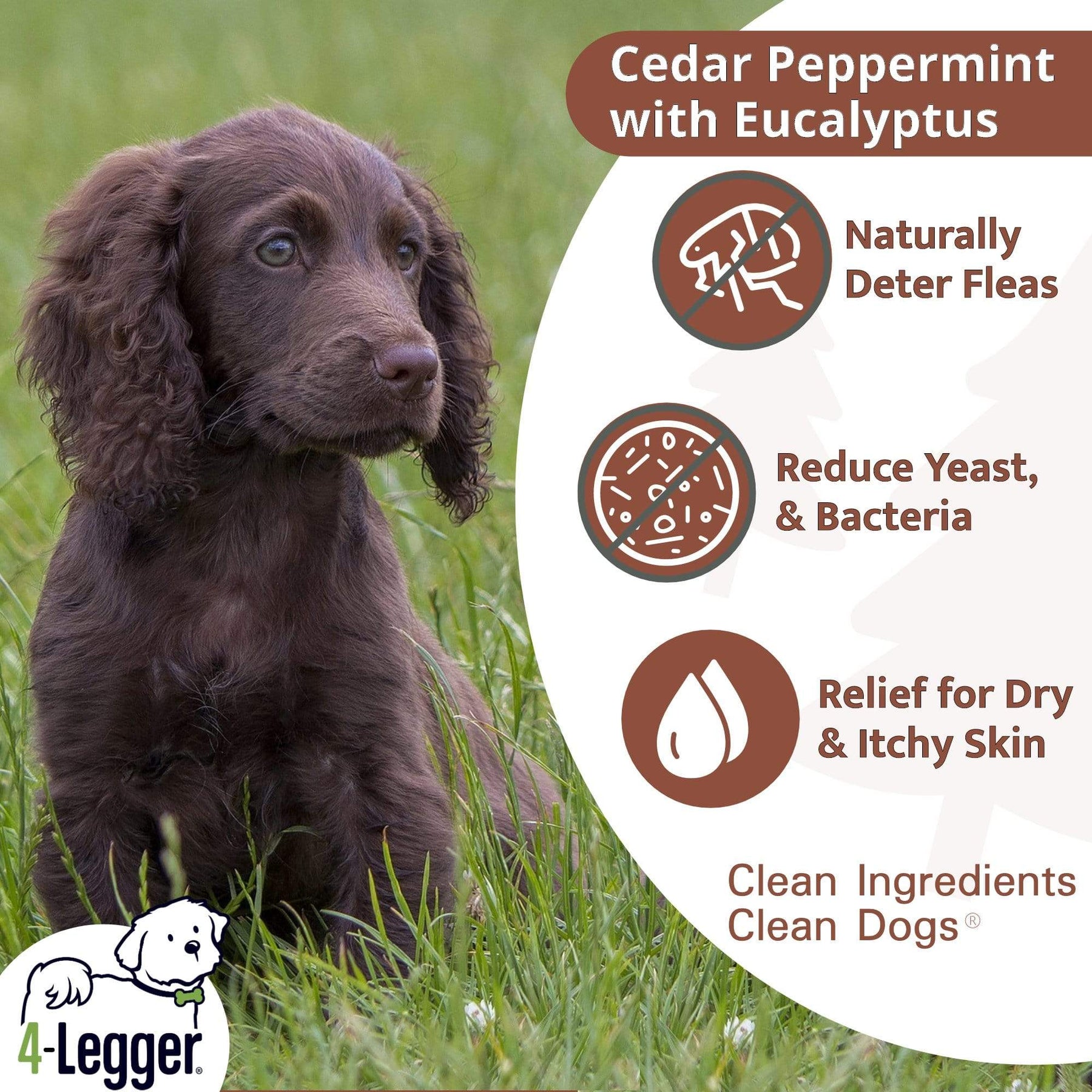 4-Legger Organic Cedar Dog Flea Shampoo and Conditioner